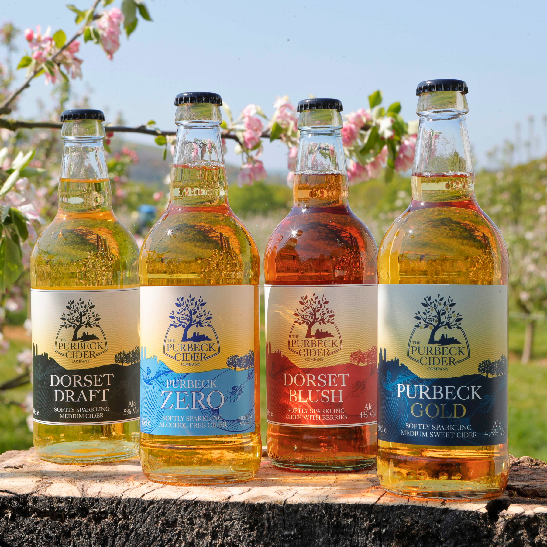 Purbeck Cider | Award-Winning Family Craft Cider from Dorset