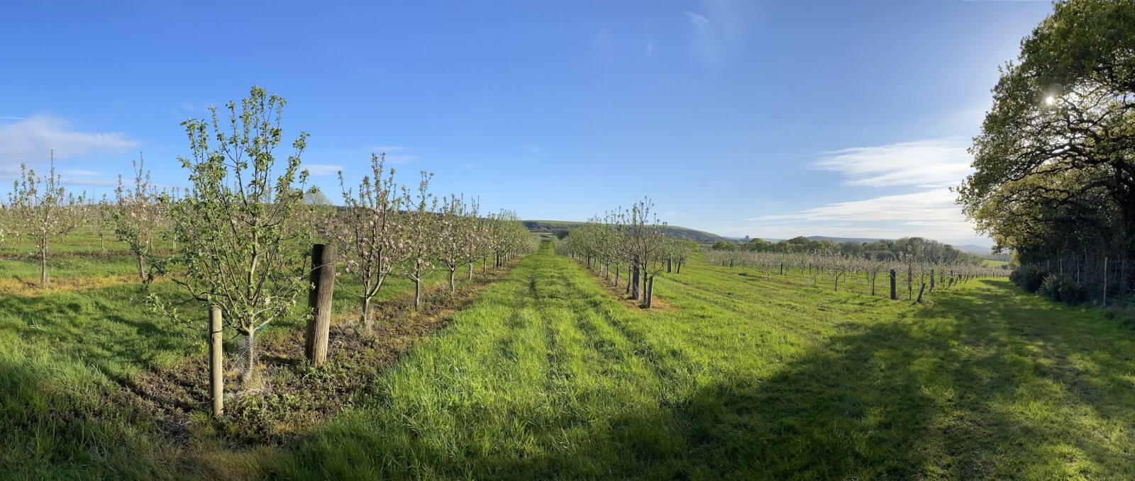 Dorset Cider Farm – The Purbeck Cider Company